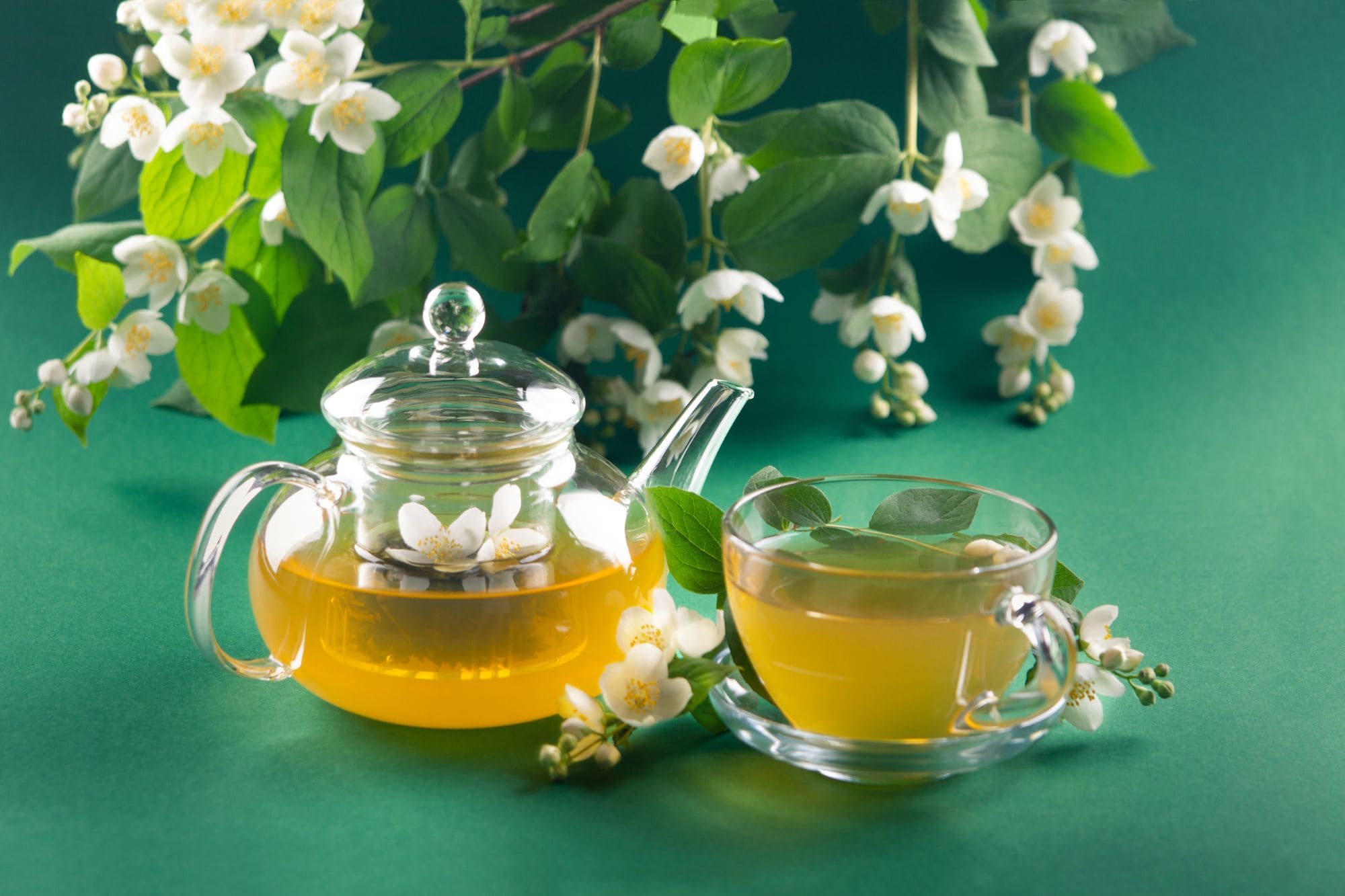 Tout savoir sur le thé au jasmin et ses bienfaits - Panda Tea