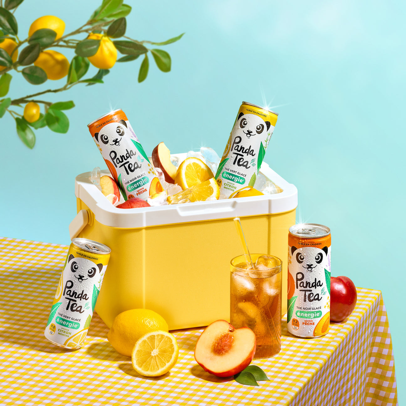 Panda Tea – Thé glacé énergie